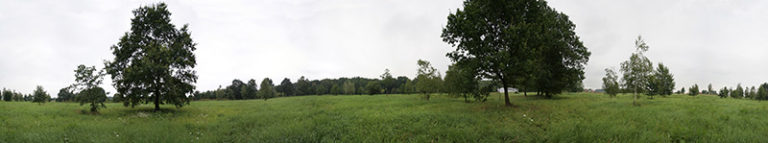 meadow | Free Cut Out people, trees and leaves